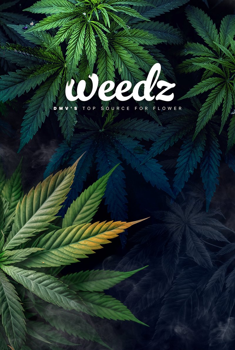 Weedz DC - Marijuana & Cannabis Delivery